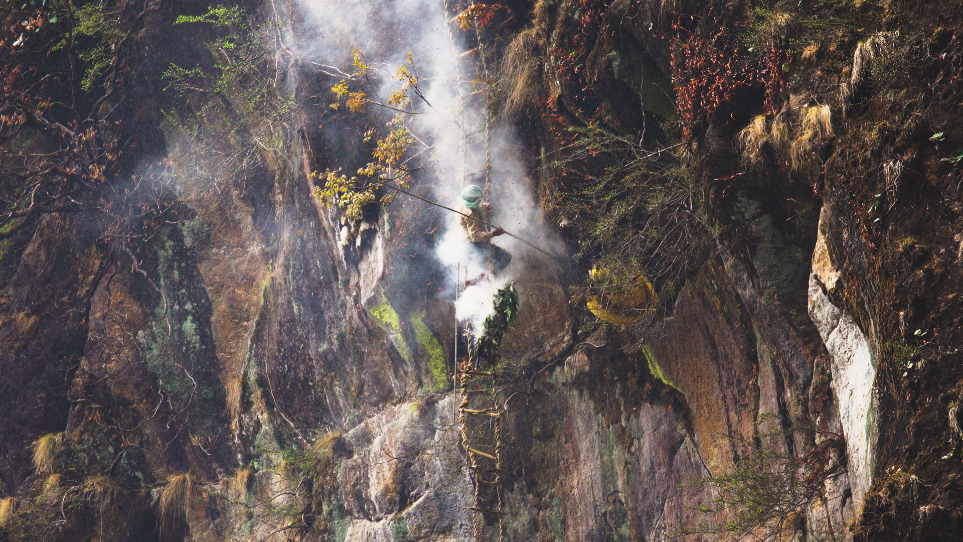 Mad Honey Hunters of Nepal - Photo Feature & Documentary - Nepal 8th Wonder