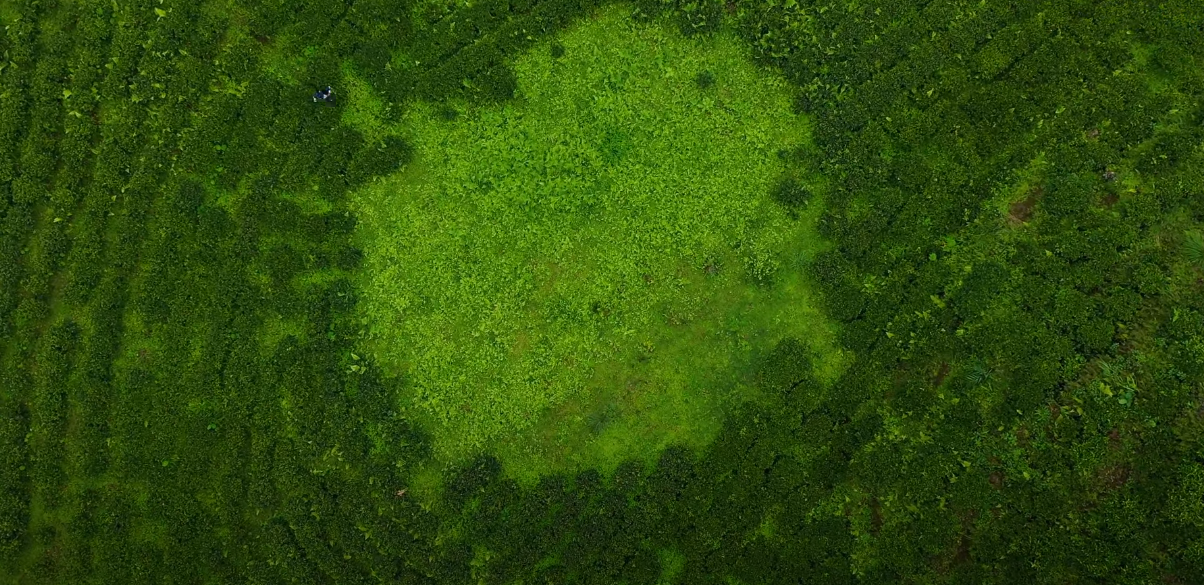 Sandakpur - Finally A Journey Till Sandakpur, Far East - Nepal 8th Wonder