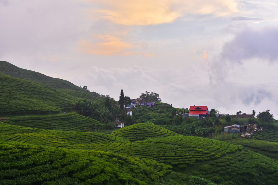 Sandakpur East Series Part 2 - A journey till Shree Antu, Ilam - Nepal ...
