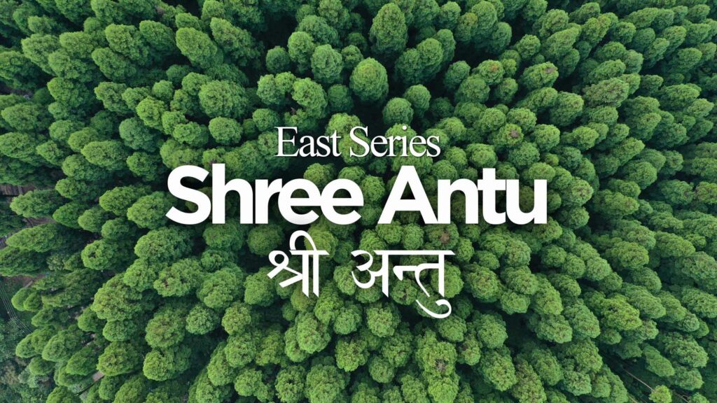 Sandakpur East Series Part 2 - A journey till Shree Antu, Ilam - Nepal ...