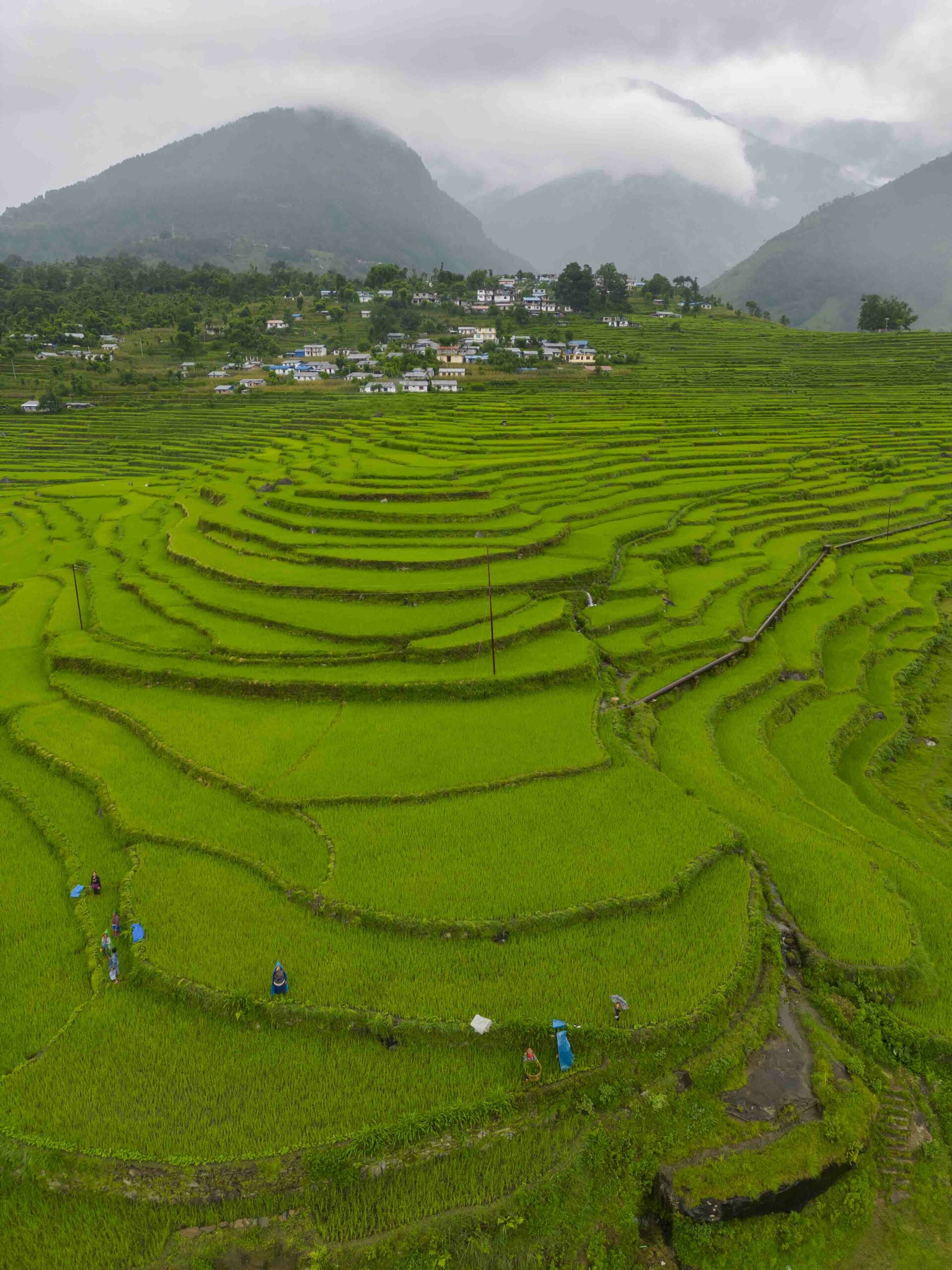 Panch Pokhari, Sindhupalchowk - Monsoon Trek - Nepal 8th Wonder