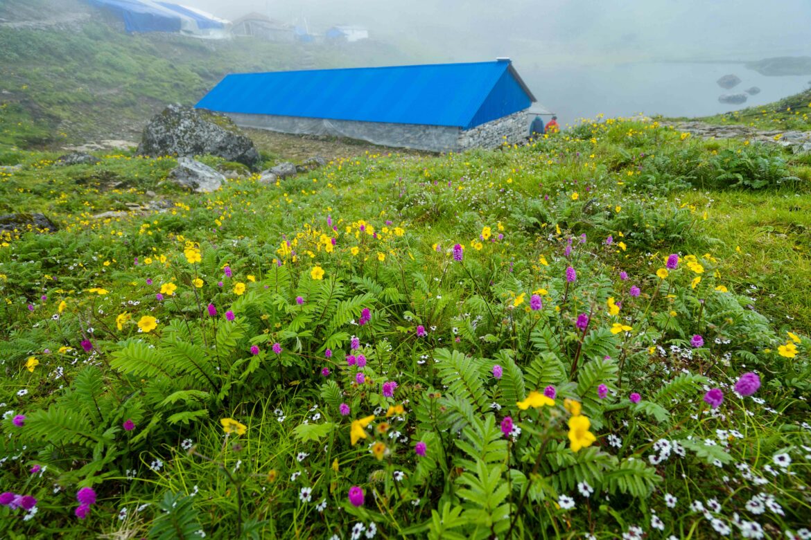 Panch Pokhari, Sindhupalchowk - Monsoon Trek - Nepal 8th Wonder