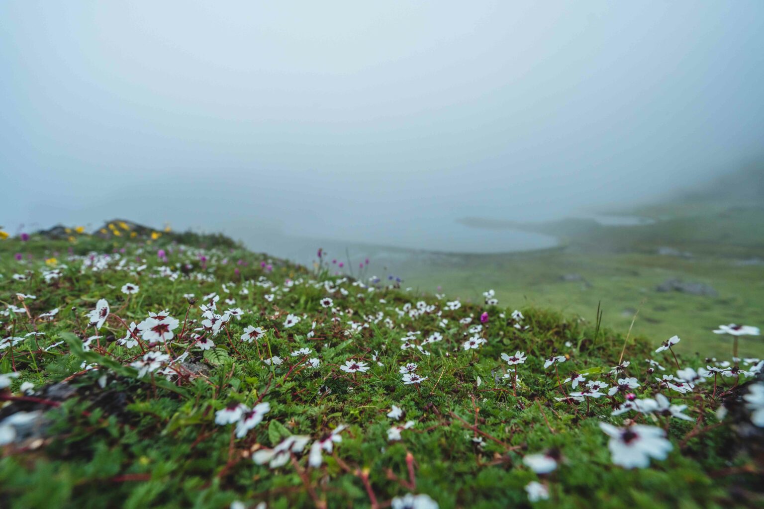 Panch Pokhari, Sindhupalchowk - Monsoon Trek - Nepal 8th Wonder